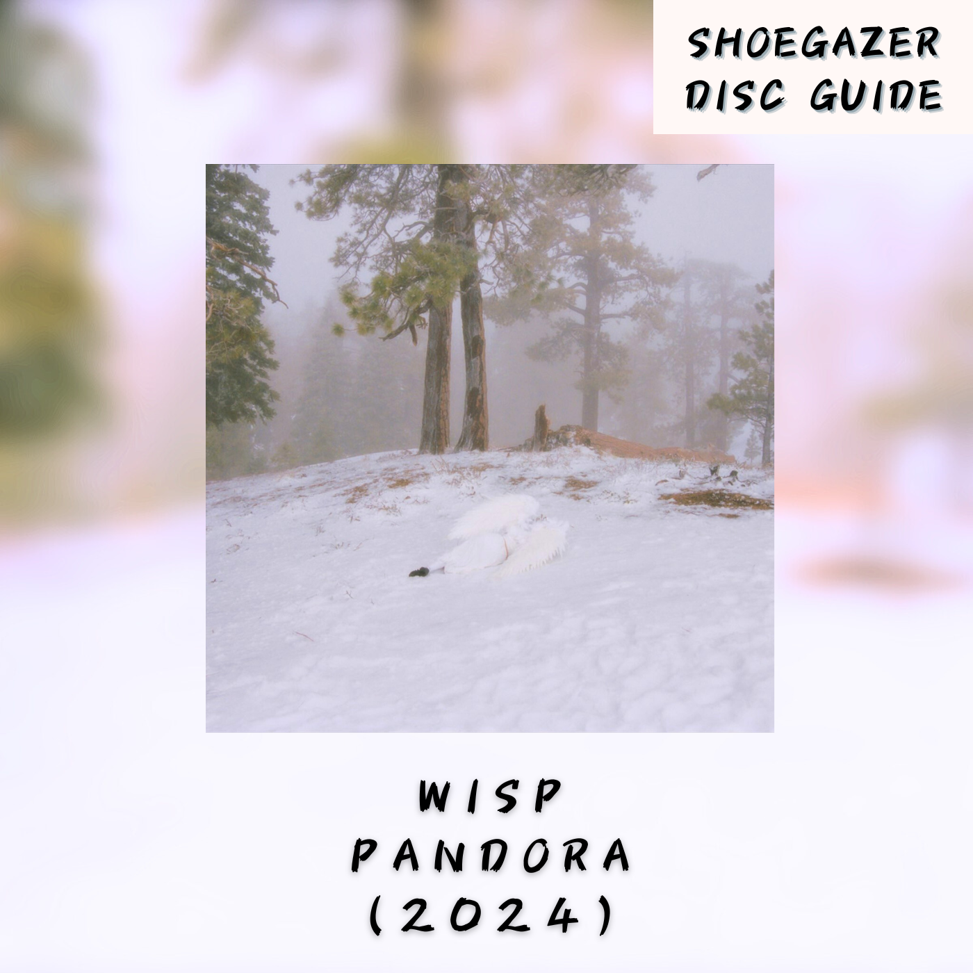 Wisp – Pandora (2024) – Bloody Mary